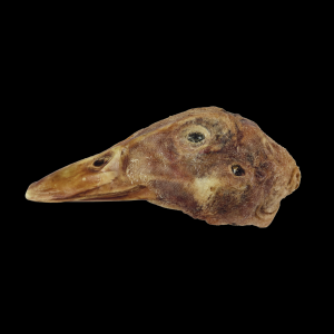 Departments - Vital Essentials Dog Treat Freeze Dried Duck Head
